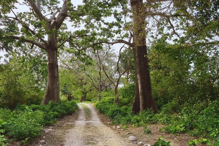 10 oldest tiger reserves in India | Times of India Travel