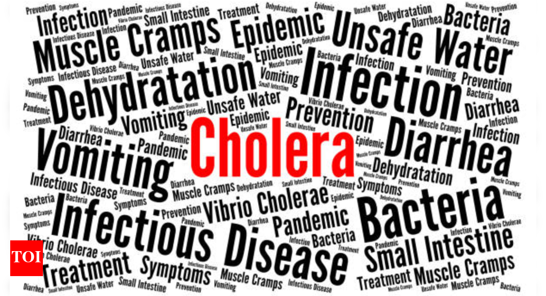 Cholera Safety Tips: Cholera outbreak in several parts of the country ...