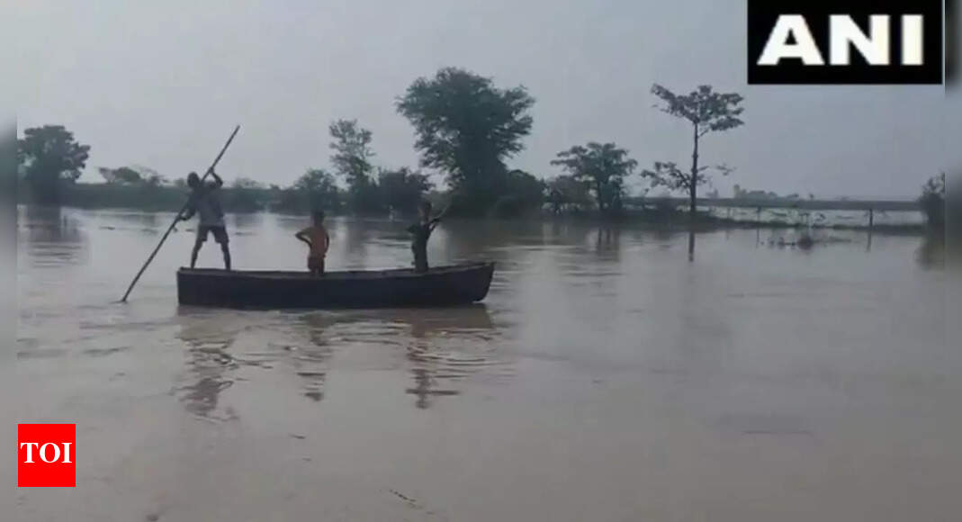 Saryu River surge causes flood-like situation in UP's Gonda | Lucknow ...