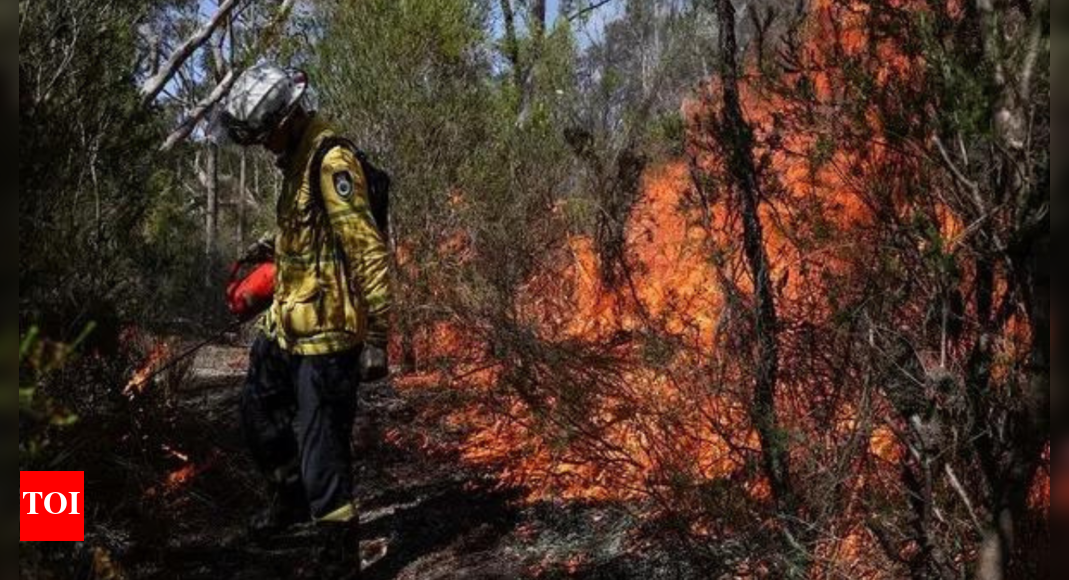 6 firefighters have died battling a bushfire in South Africa after ...