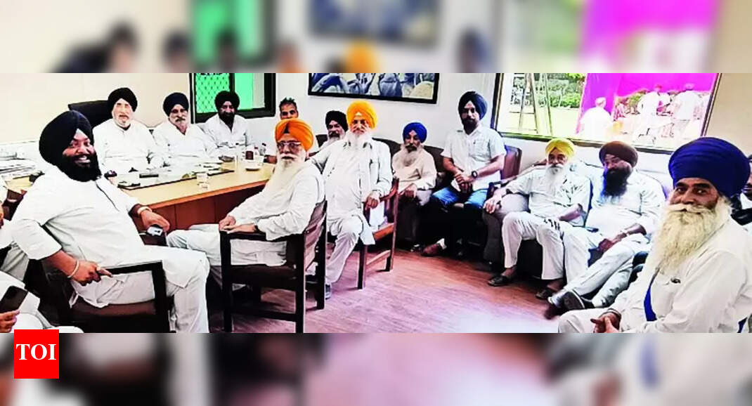 Gurpartap Singh Wadala Named Sad Reform Movement Convener India News The Times Of India