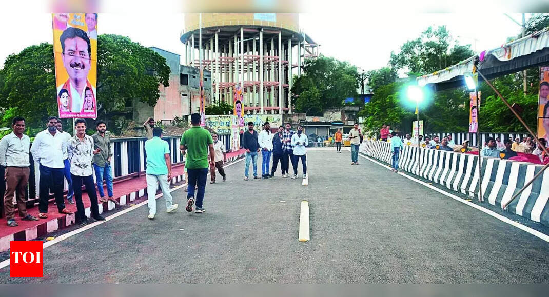 Hathipala Bridge: New Hathipala Bridge Opens for Public in Indore ...