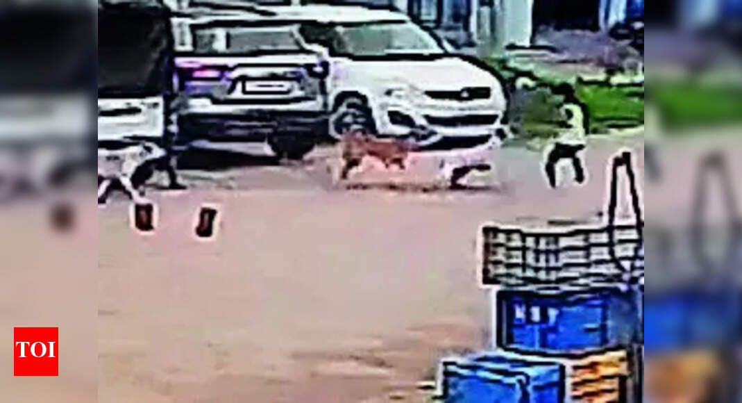 Father Saves Boy: Father saves boy from stray dog attack | Hyderabad ...