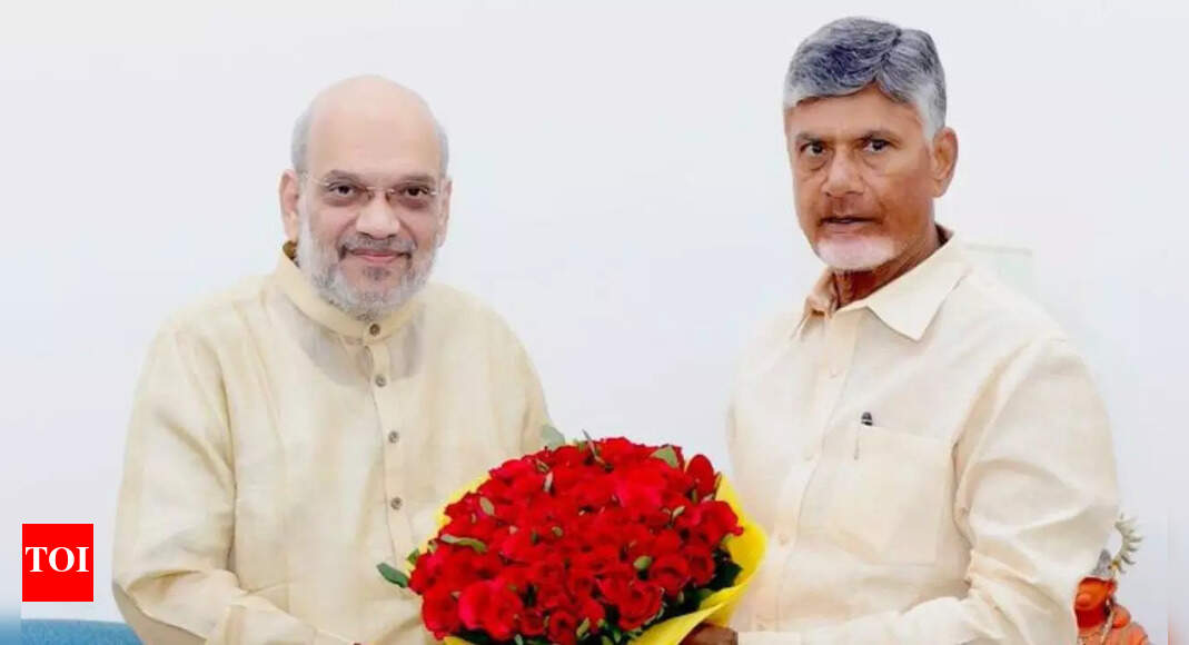 Andhra CM Chandrababu Naidu meets Amit Shah, seeks higher allocation for state in Union Budget ...