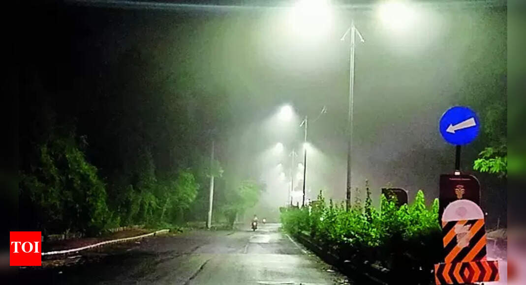 City receives 30mm rain, more rainfall expected in the coming days | Nagpur News - Times of India