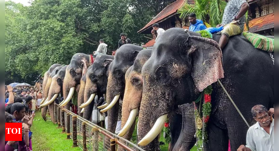 Villagers block road in Kerala's Wayanad, demand justice for elephant ...