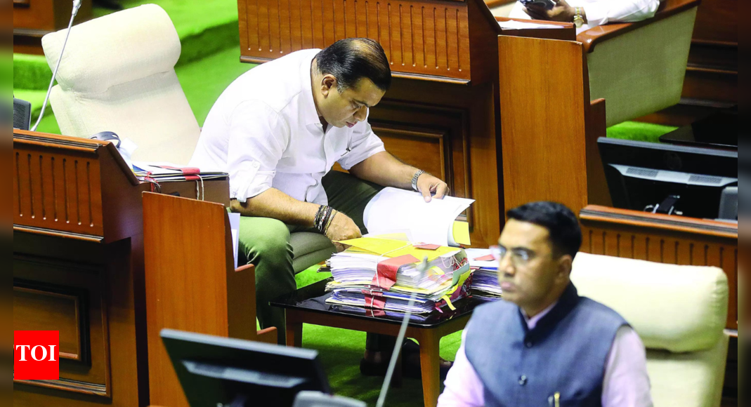 26,000 Goans gave up Indian passport since 2014: Govt | Goa News ...