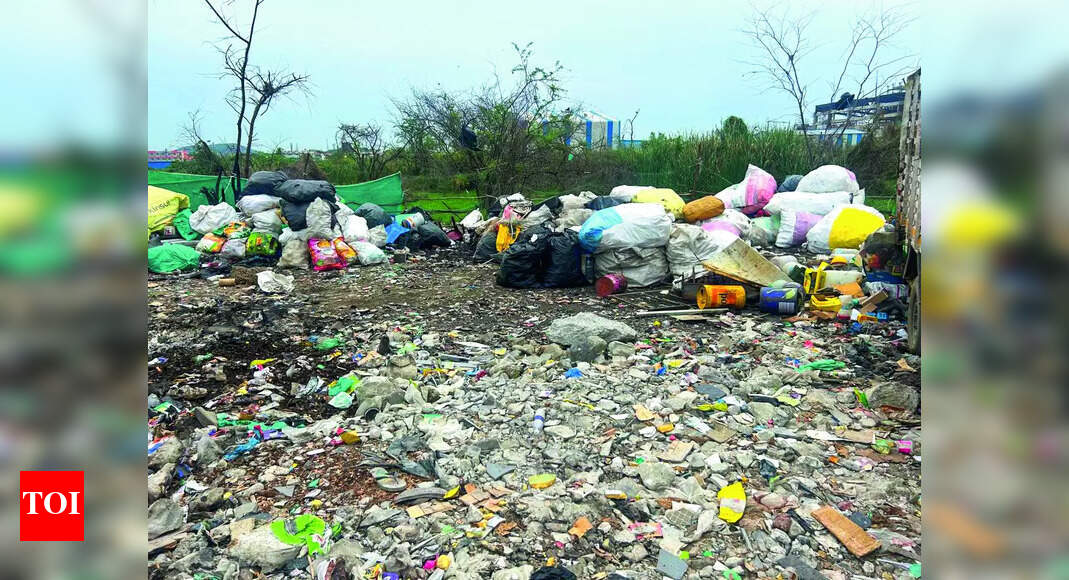 Garbage Collection: Tambaram Solid Waste Management Woes | Chennai News ...