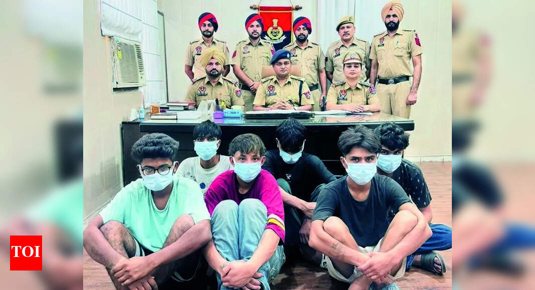 Ludhiana Police: 6 arrested in Ludhiana for stealing 8 two-wheelers ...