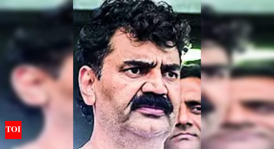 Fake Degrees: Private Universities Suspected of Issuing Fake Degrees ...