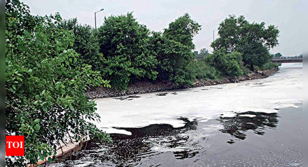 'No waste dumping in Hindon river' | Noida News - Times of India