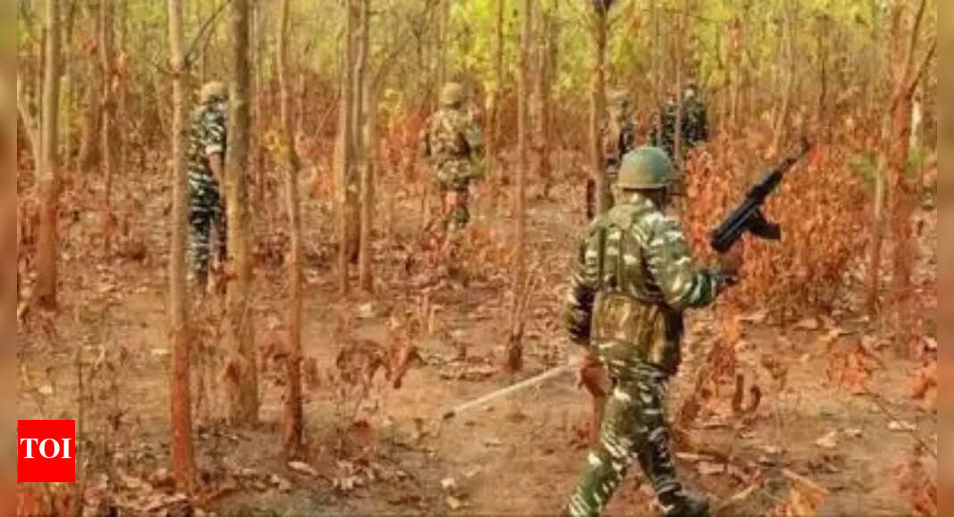 Maoist: North Gadchiroli Maoist chief& 11 guerrillas shot in 6-hr op | Nagpur News - Times of India