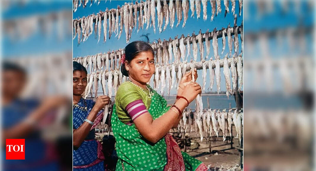 Illegal Deep Sea Fishing in Mumbai Despite Monsoon Ban | Mumbai News ...