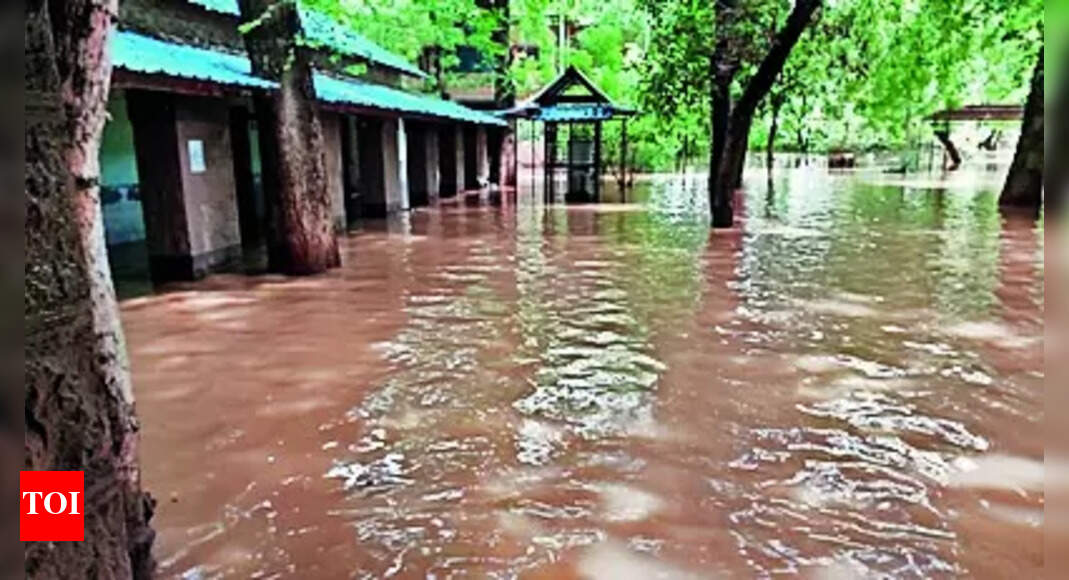 Infant: Body of infant swept away by overflowing nullah found | Nashik News - Times of India