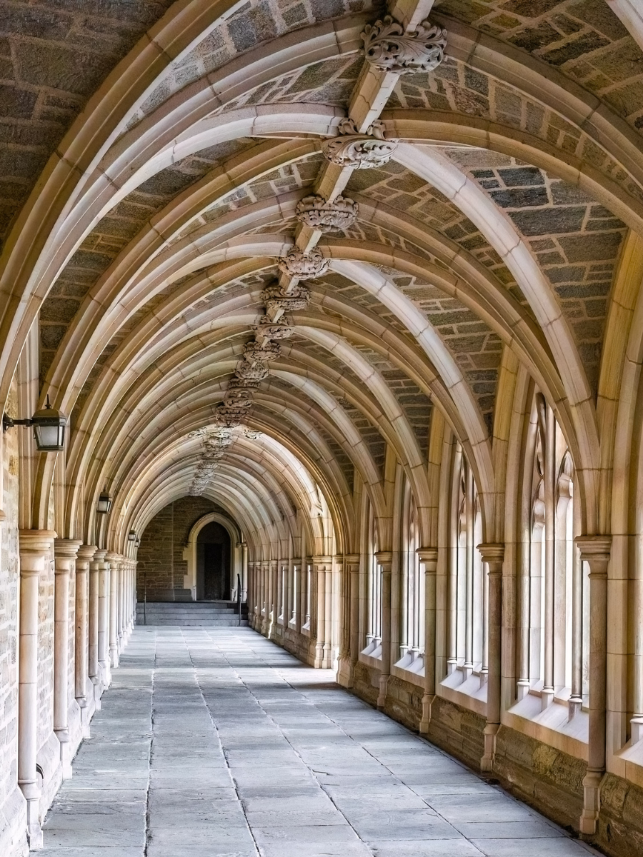 9 Princeton University Online courses you can enroll for free | Times ...