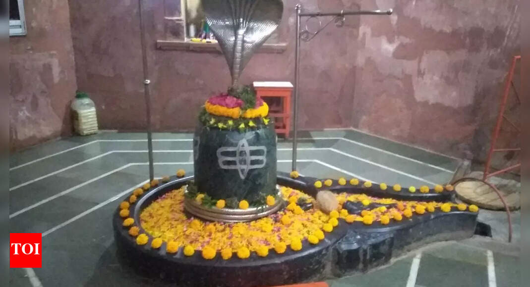 Sawan Somwar Vrat 2024: Easy-to-cook Sattvik recipe ideas - Times of India