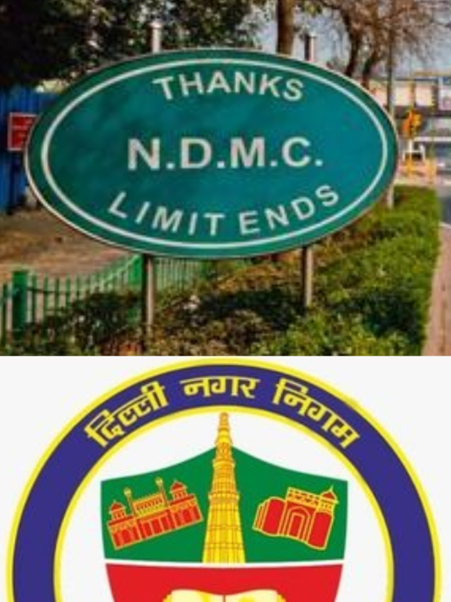 What Is The Difference Between NDMC And MCD? | Times Now