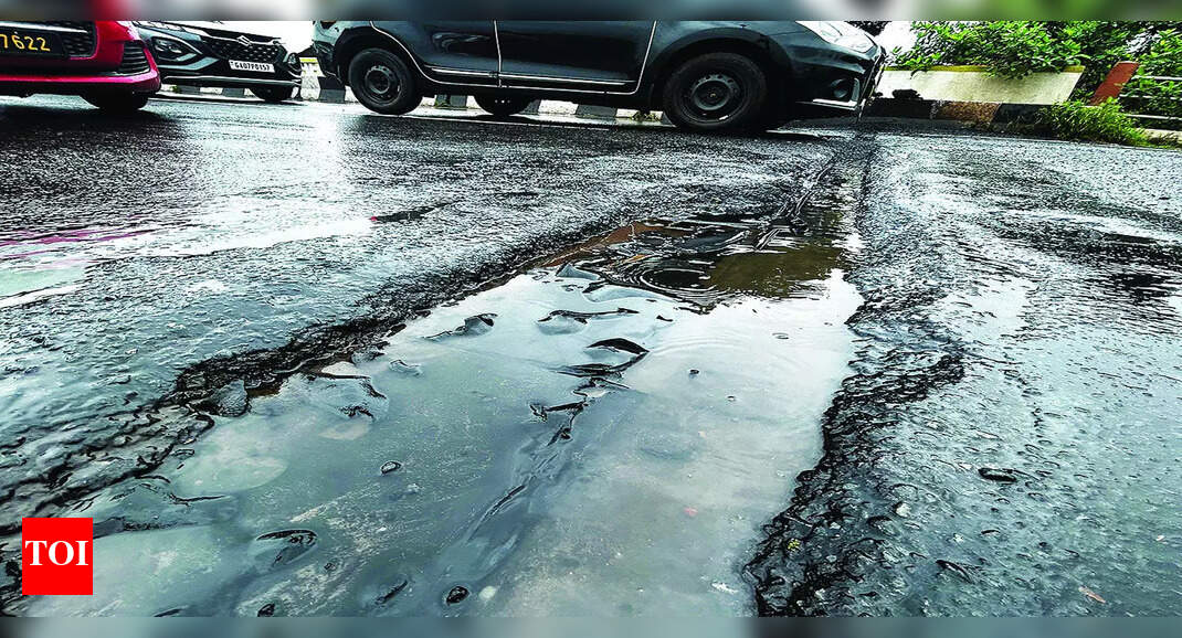 500m, 30 mins: Divja Circle to city on Patto bridge | Goa News - Times ...