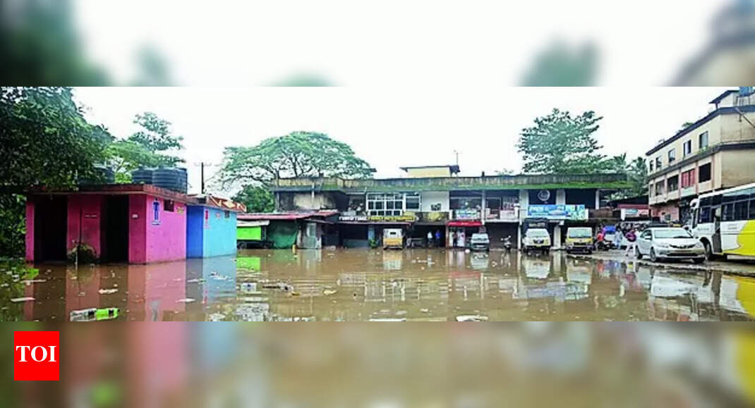 Rivers: Swollen rivers in Dakshina Kannada and Udupi districts causing ...