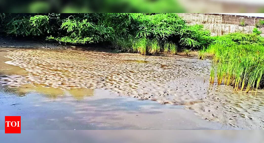 Thermal Power Plant Pollution: Bombay High Court issues notices to ...