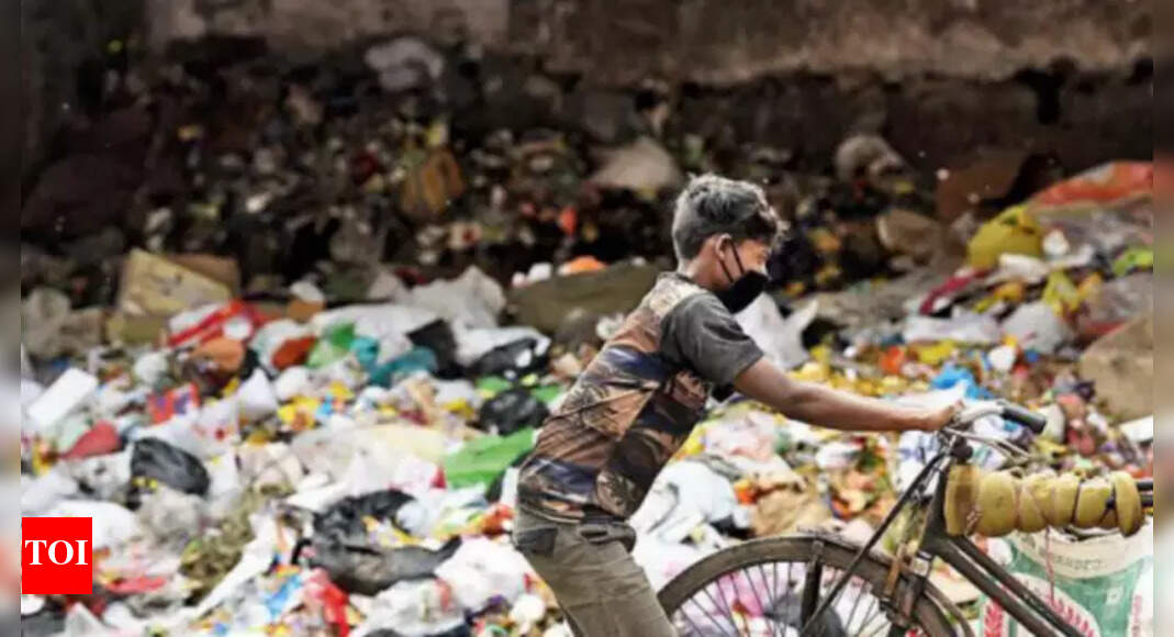 Garbage Crisis: Garbage Crisis in South Delhi | Delhi News - Times of India