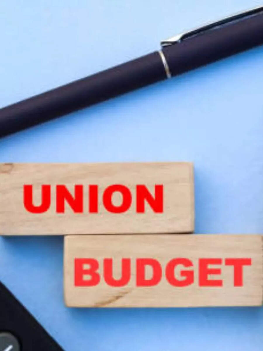 Budget Dictionary: Important Terms And Concepts | Times Now