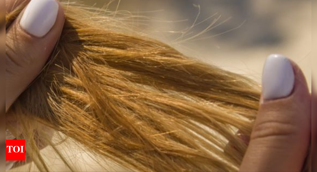 Taming the Mane: How to Keep Frizz and Flyaways in Check During Humid ...