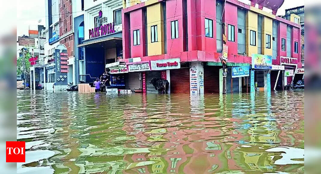 Dwarka Rajkot: Rain havoc in Dwarka: Tourist town struggles to recover ...