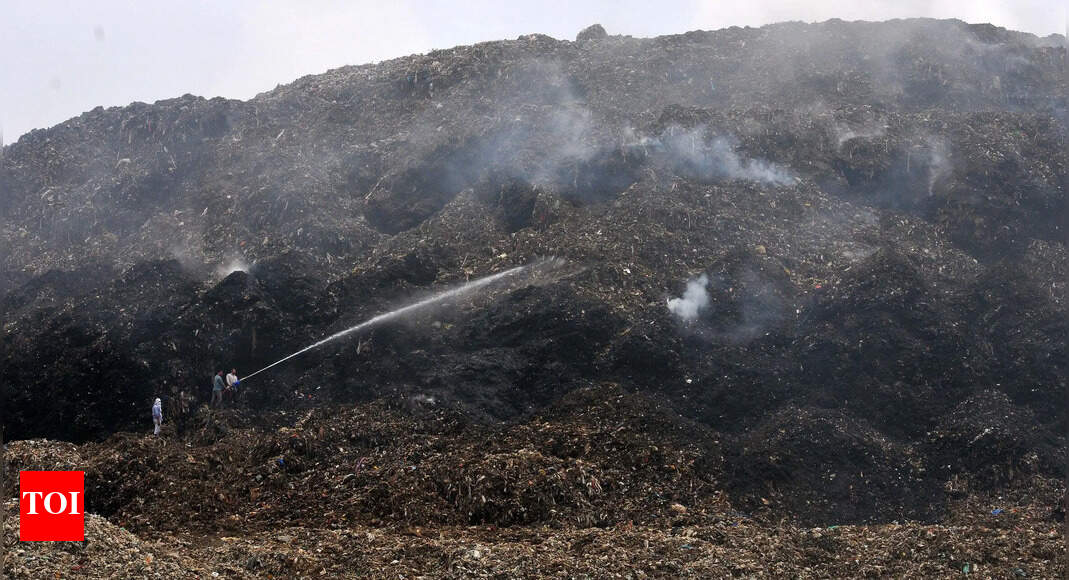 Green Charcoal: Haryana Government Initiates 'Green Charcoal' Project ...