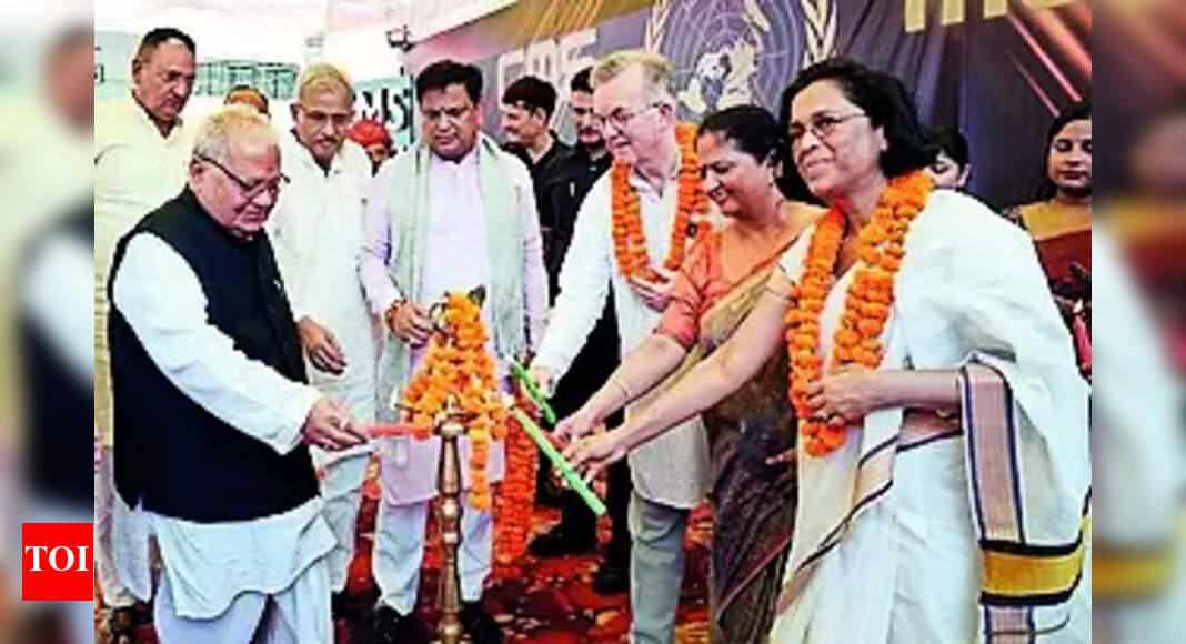 MUN: Two-day Model United Nation Conference at CMS Lucknow | Lucknow ...