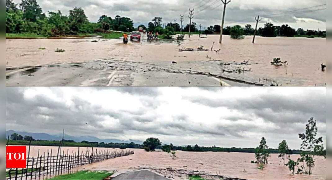 Crops Damage: Heavy Rains Cause Extensive Damage to Crops in Andhra ...