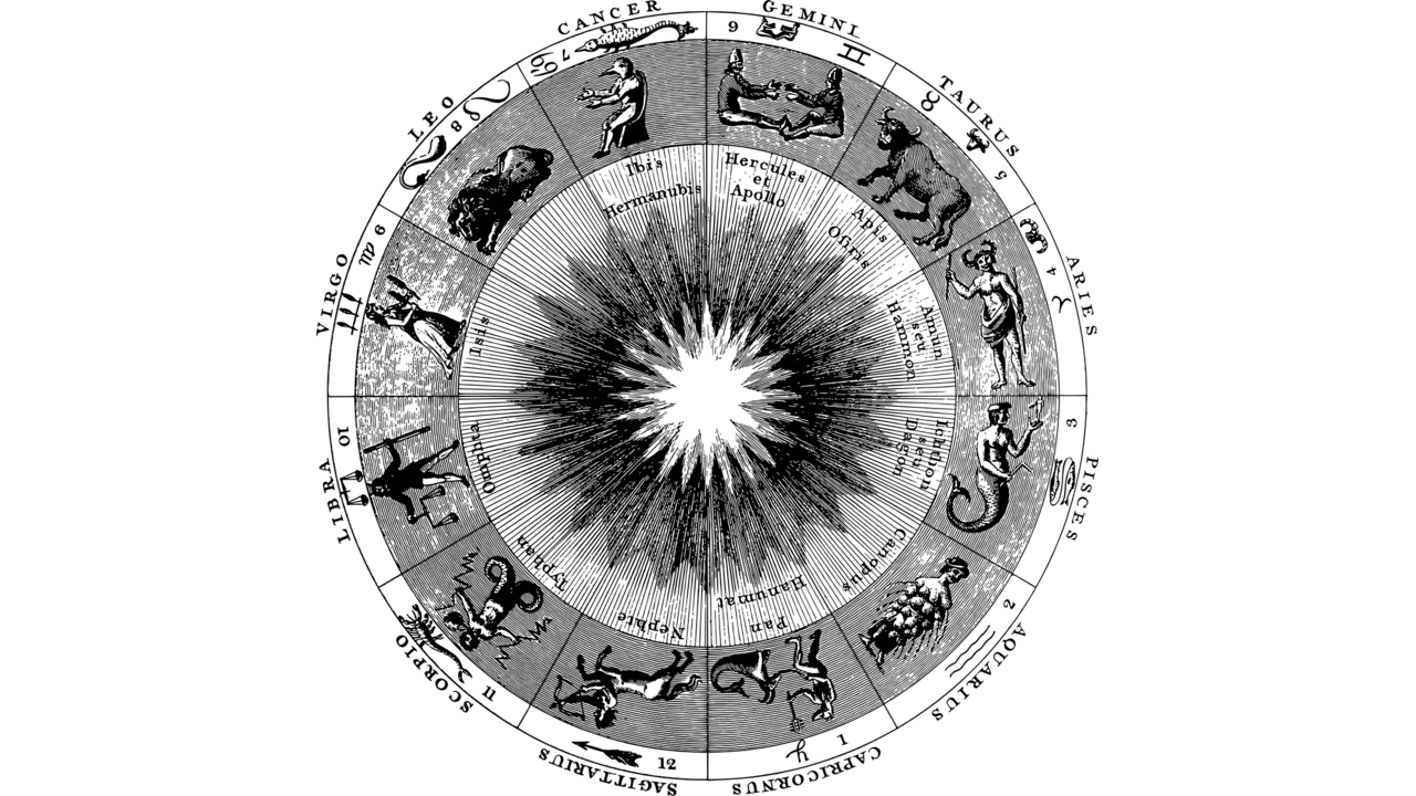 Divergent zodiac signs 60 photos - Youhoroscope.com