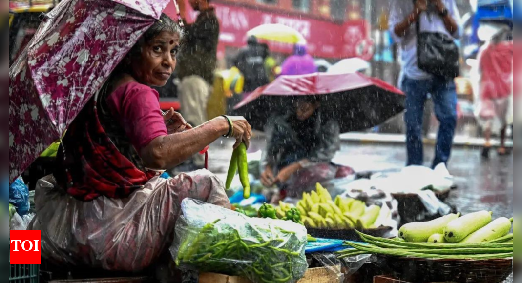 Raipur to establish vending zones to organise street vendors | Raipur ...