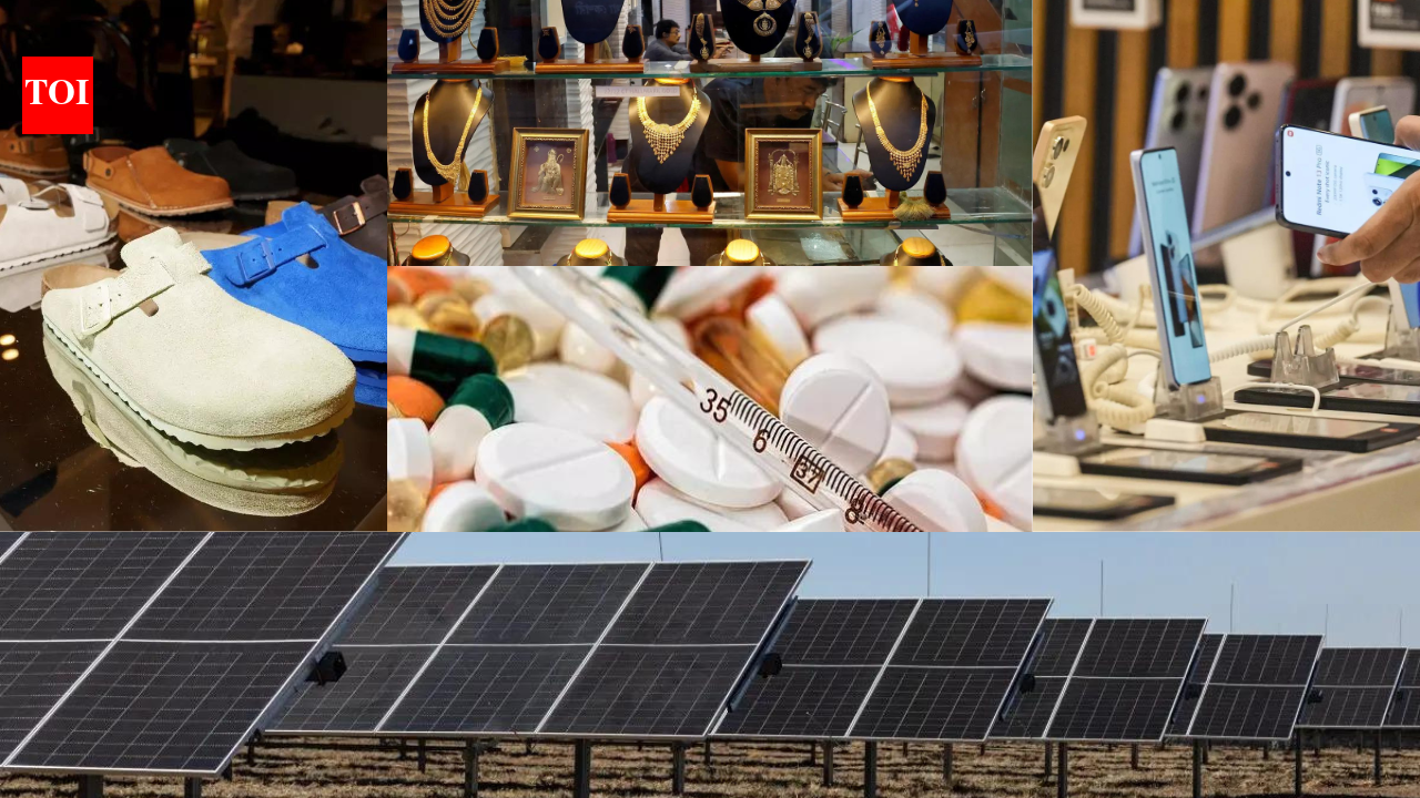 Union budget 2024: What became cheaper, what got expensive?