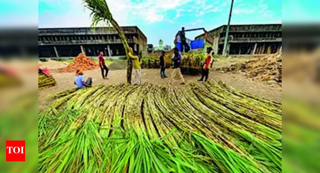 Union Budget: Farmer leaders criticise Union Budget for overlooking ...