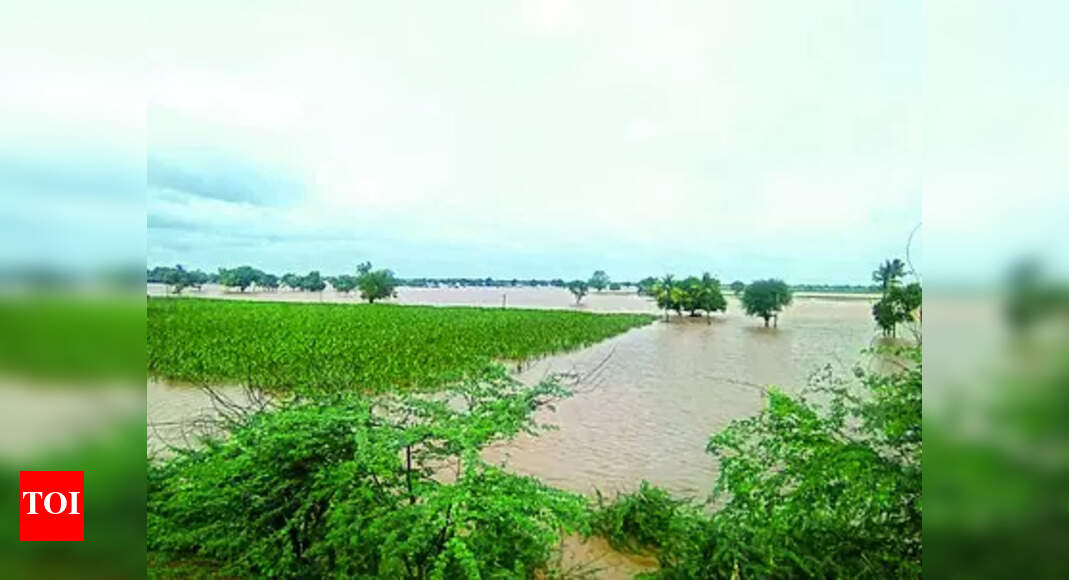 Flood Fears: NK Residents Fear 2019 Flood Repeat Due to Heavy Rain ...