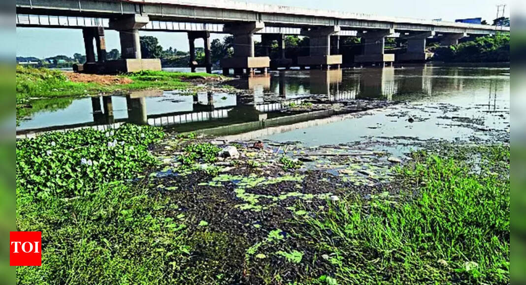 Daya River Pollution: BDA forms committee to save Daya river from ...