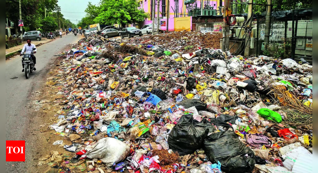 Build 20 decentralised units to process waste, panel set up by govt ...