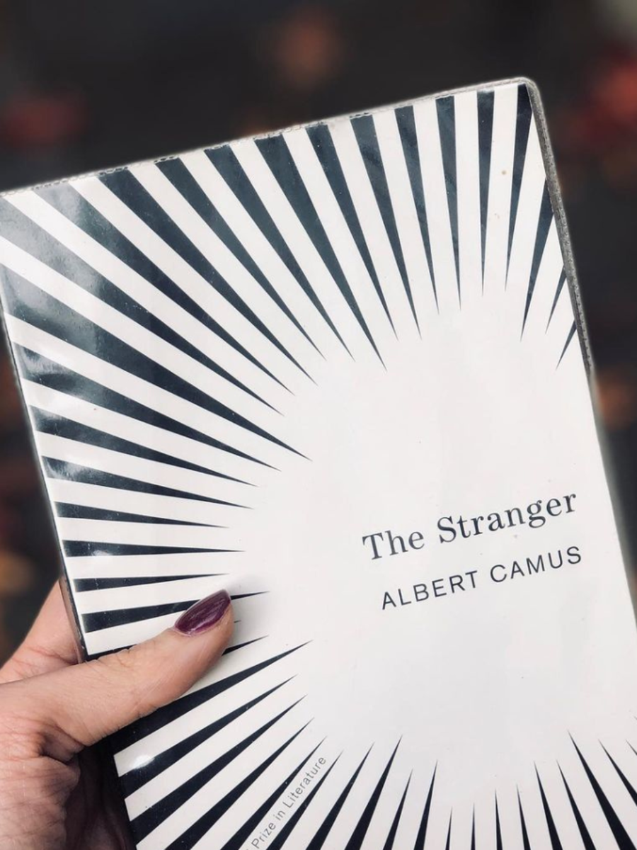 The Stranger Explained in 10 Sentences | Times Now
