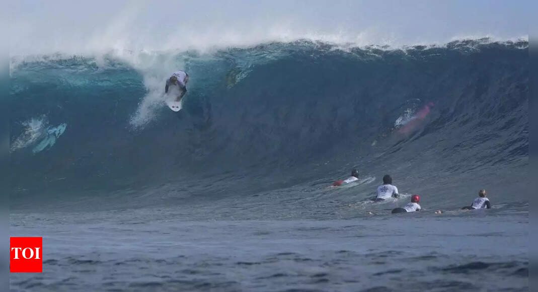 Surfer loses leg to shark attack; barely survives - Times of India