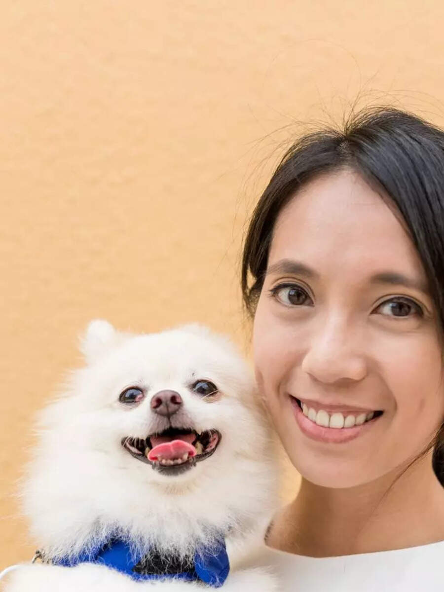 10 clever dog breeds to have as pets | Times of India