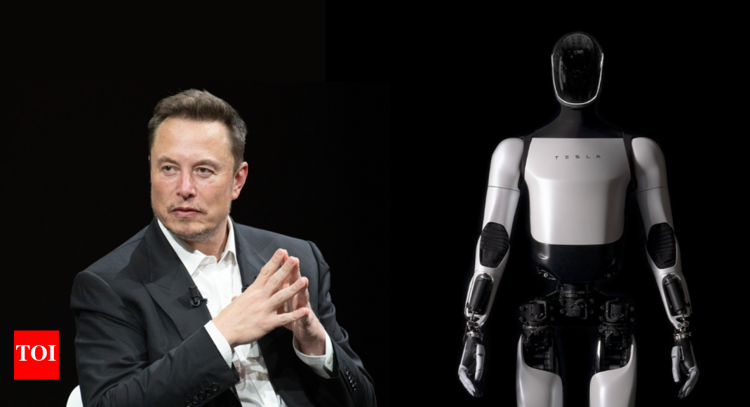 Elon Musk gives update on Tesla humanoid robot launch timeline - Times ...