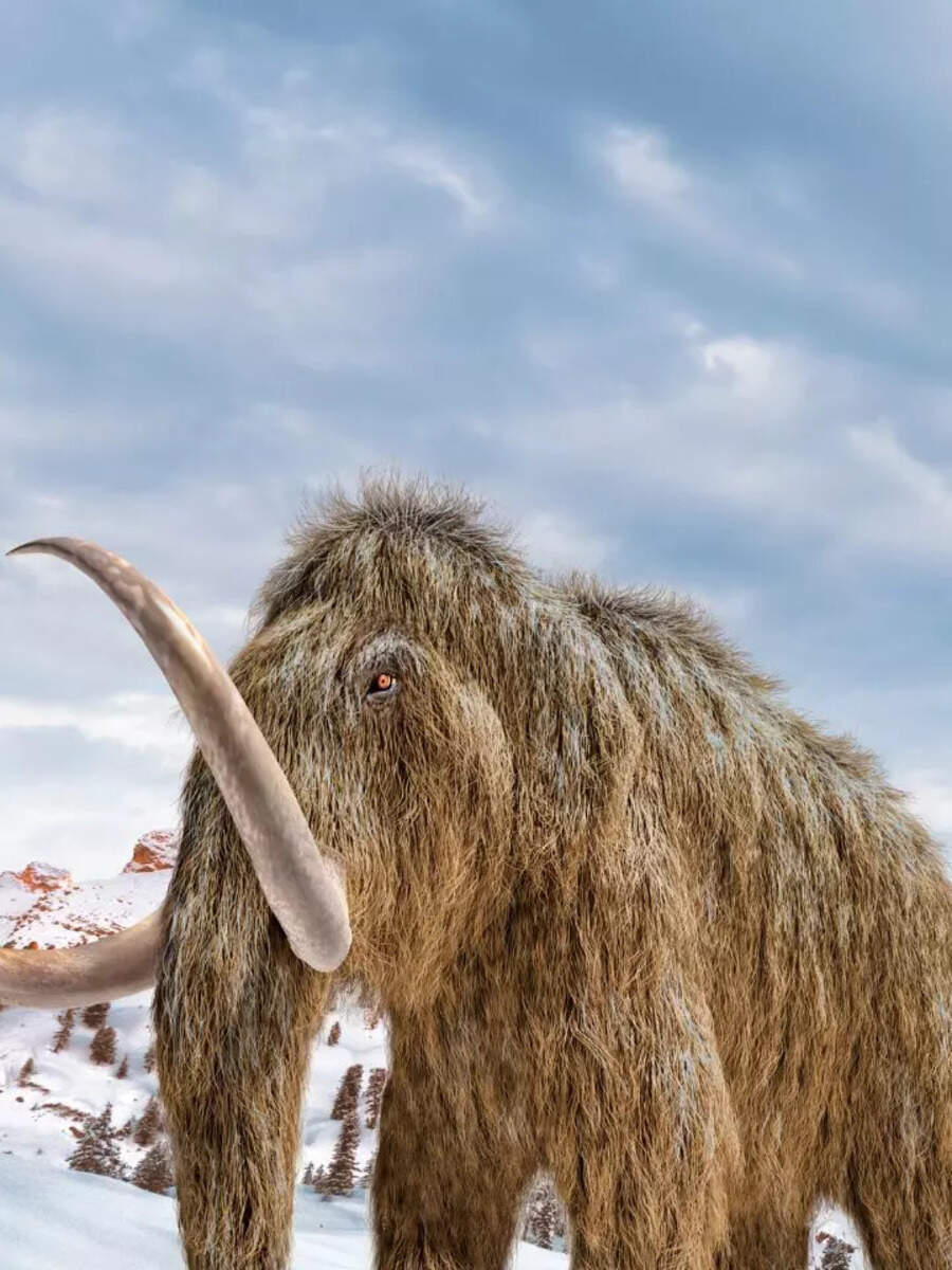 8 massive animals that lived during the Ice Age | Times of India