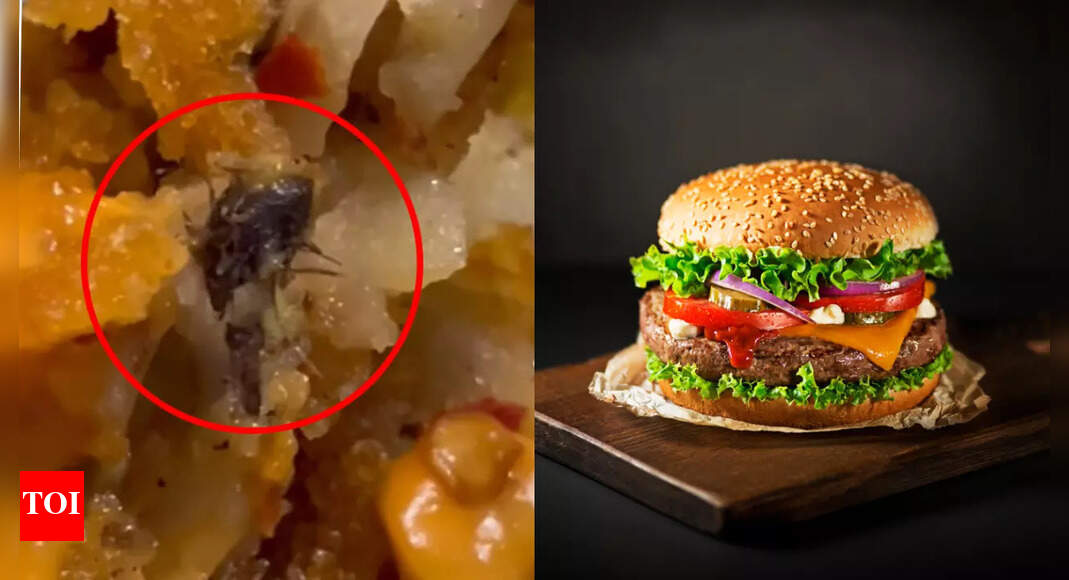 Watch: After dead mouse in chocolate syrup, dead insect found in burger ...