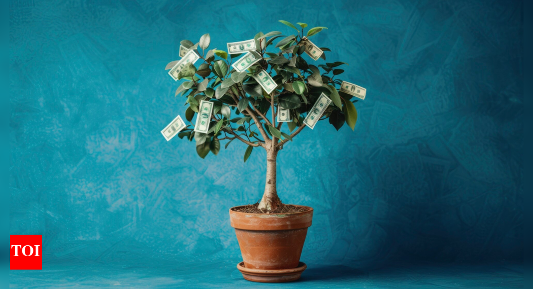 Benefits of Keeping Money Plant at Home - Times of India
