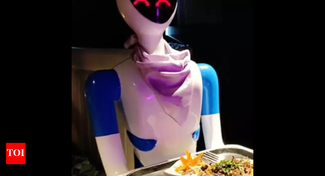 Meet 'Ananya': The robot server taking over a restaurant in West Bengal ...