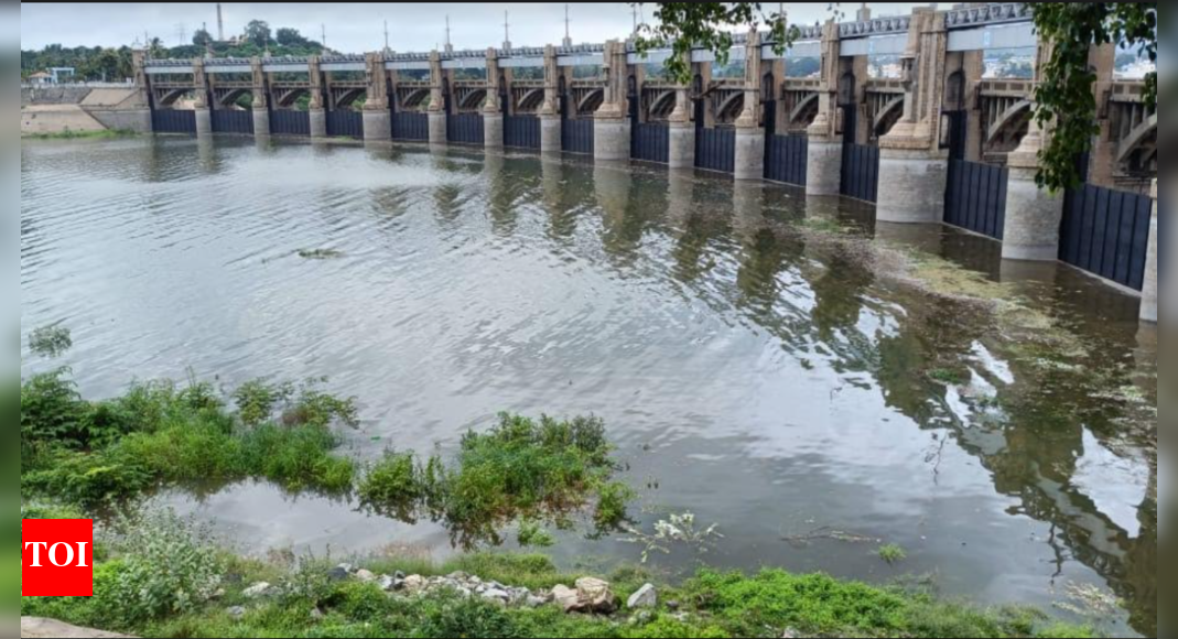 Mettur dam water level reaches benchmark 100 feet for 71st time ...
