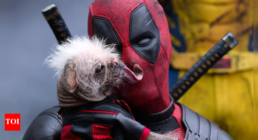 Meet Dogpool: The new Canine hero in Deadpool & Wolverine | English ...