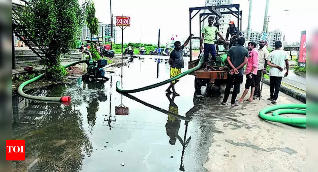 Vishwamitri: Vishwamitri River Water Level Recedes in Vadodara ...