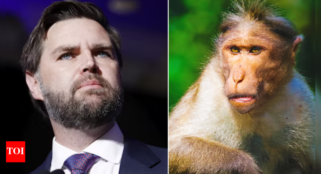 Trump running mate JD Vance accused of funding animal cruelty: What is ...